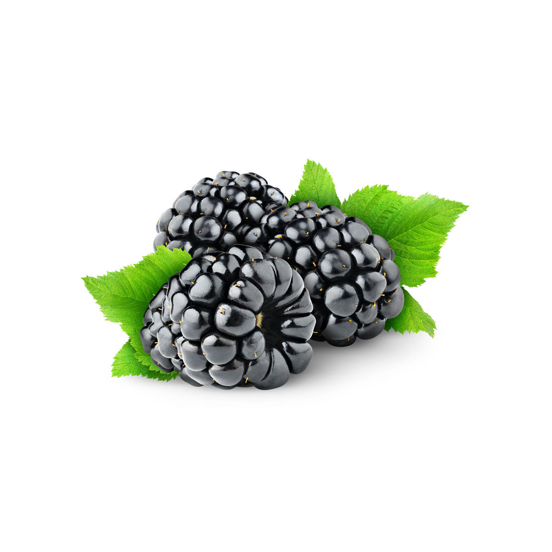 Products – Capella Flavors