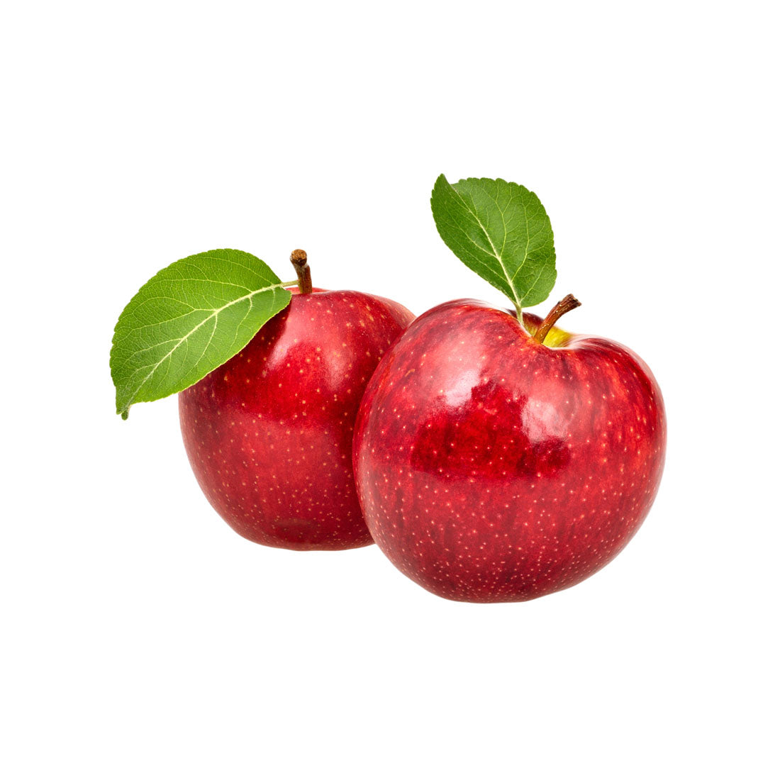 Capella Flavors | Premium Multi-Purpose Flavor Concentrates