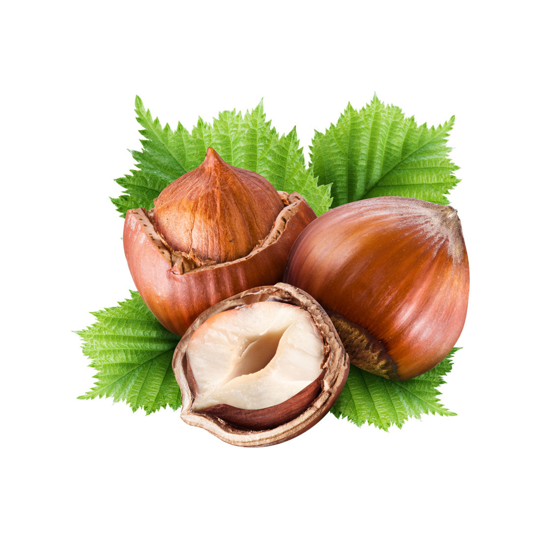 Hazelnut V2 – Capella Flavors