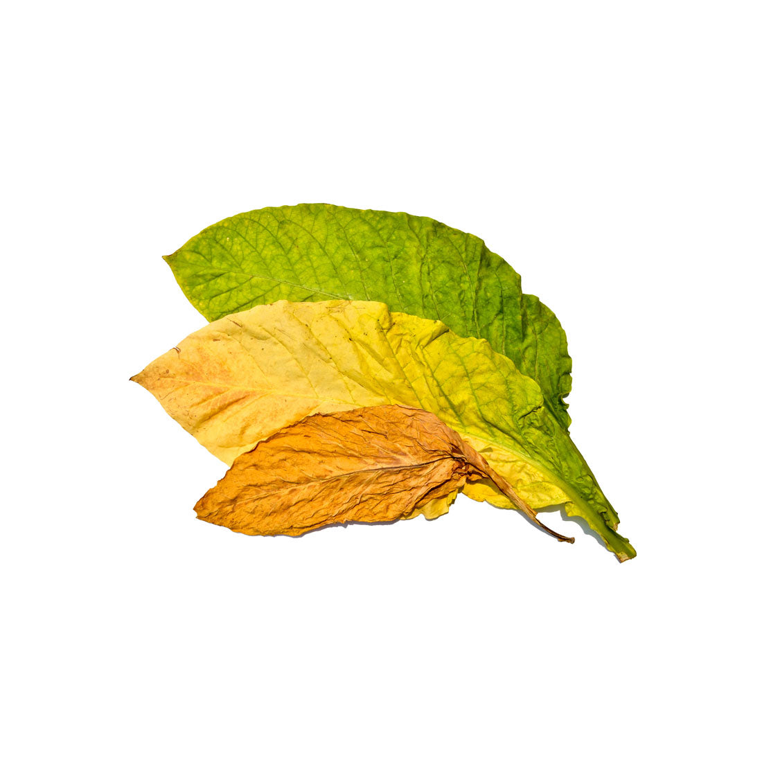 Original Blend – Capella Flavors